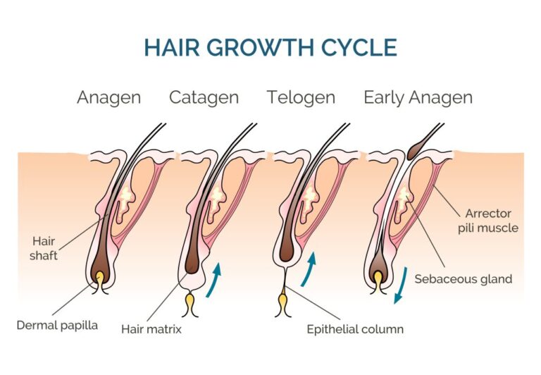How Fast Does Hair Grow? (and How To Make It Grow Faster)